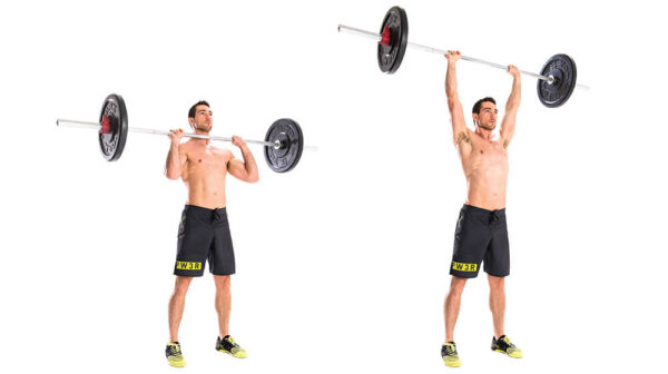 Seated Front Raise Guide: How-To, Muscles Worked, Pros & Alternatives